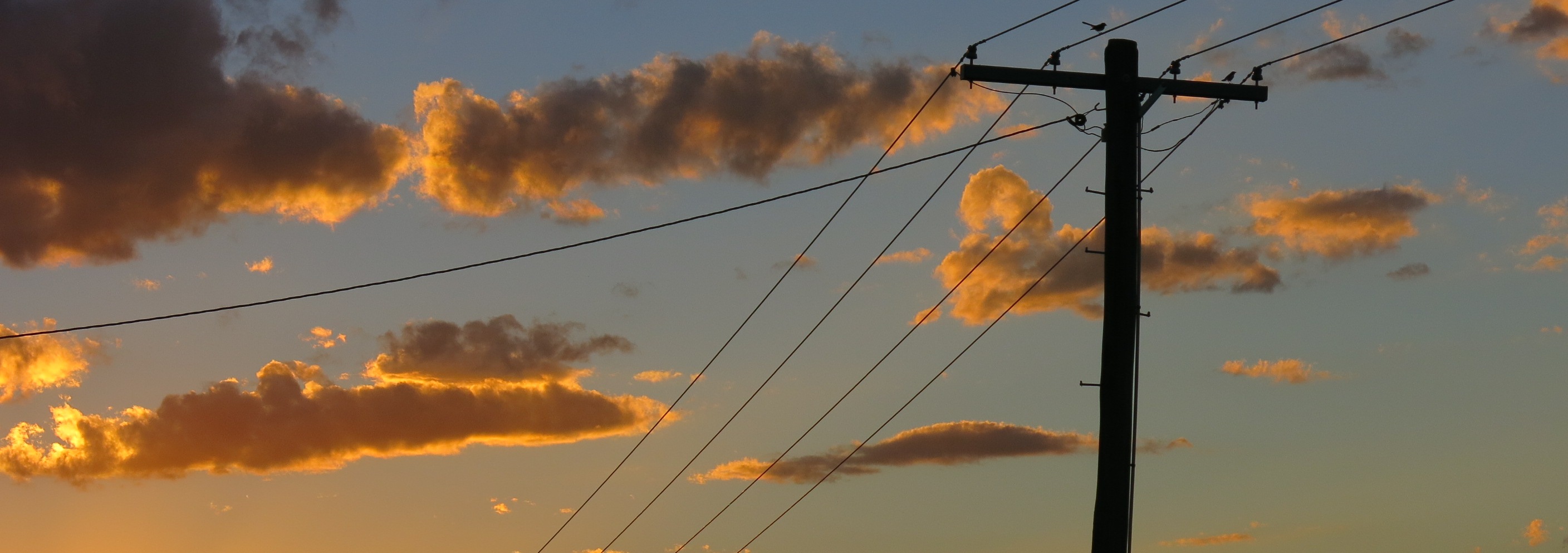 sunset powerpole - Powersmart