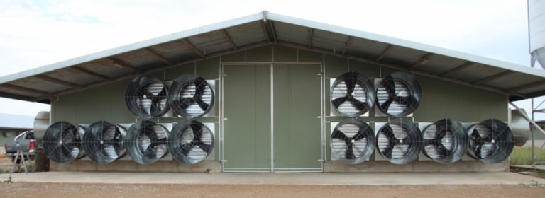Farm shed ventilation can use lots of power - Powersmart